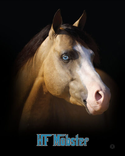 HF Mobster – FROZEN PARTNERS